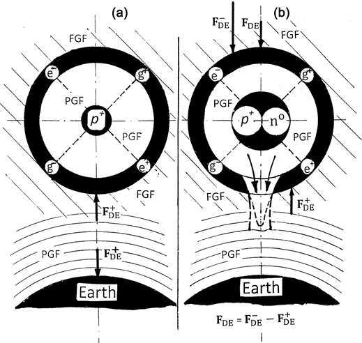Intra-Atomic Gravitational Shielding (Lensing), Nuclear Forces and ...