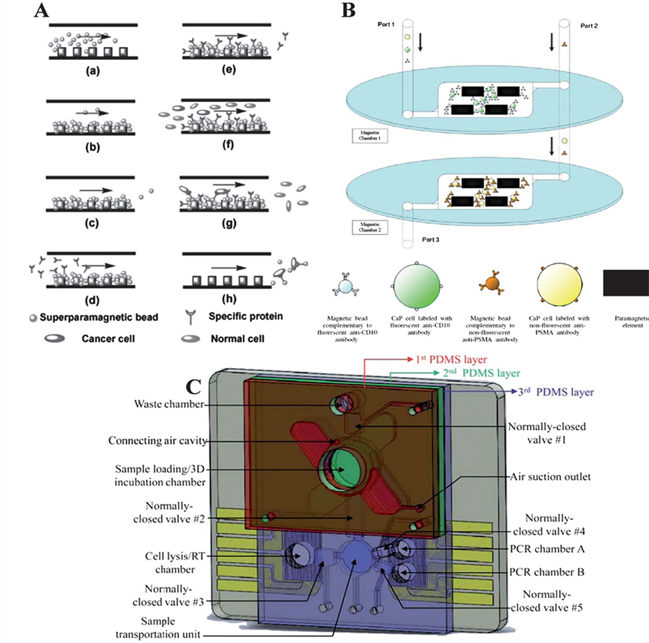 Microfluidic Approaches for Cancer Cell Separation: Review