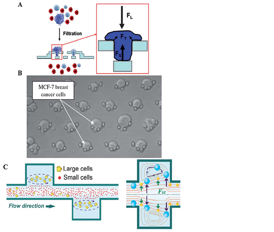 Microfluidic Approaches for Cancer Cell Separation: Review