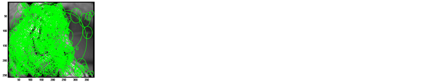 Image Classification Based on Histogram Intersection Kernel
