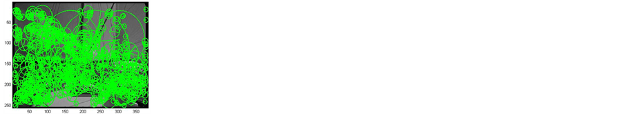 Image Classification Based on Histogram Intersection Kernel