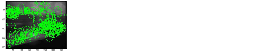 Image Classification Based on Histogram Intersection Kernel