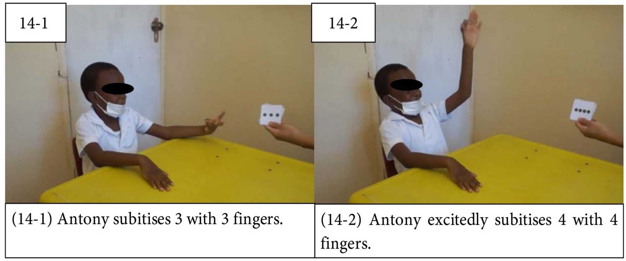 Learning Process of Developing Subitising, Counting, and Reasoning ...