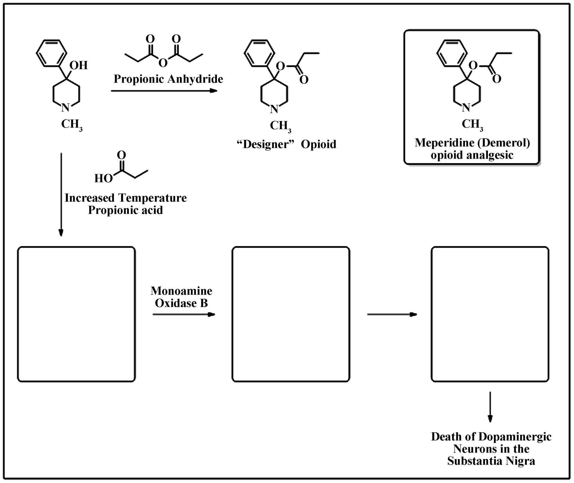 Case Study to Escape Room: The Design of a Parkinson’s Disease Based ...