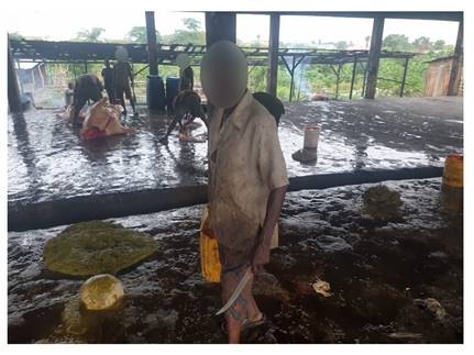 Global Waste Management Practices in Abattoir: Challenges for ...