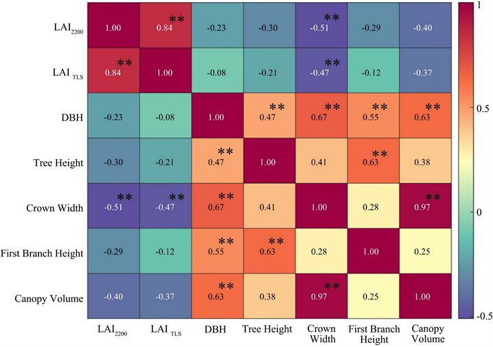 Study on the LAI Single Tree Model Based on Terrestrial Laser Scanning