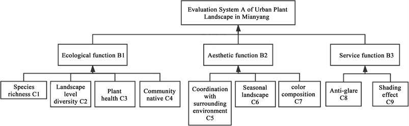 Evaluation of Urban Road Plant Landscape in Mianyang Based on Analytic ...
