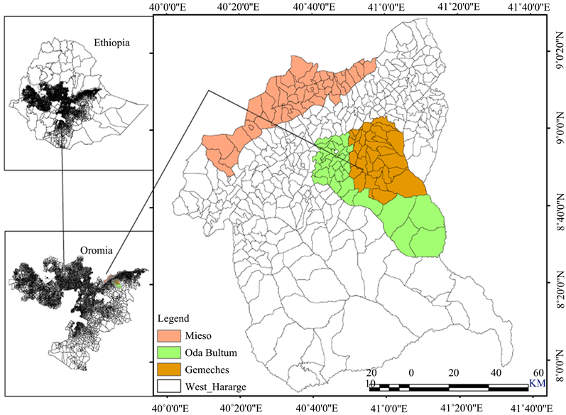 Commercialization of Cow Milk Production in West Hararghe Zone, Oromia ...