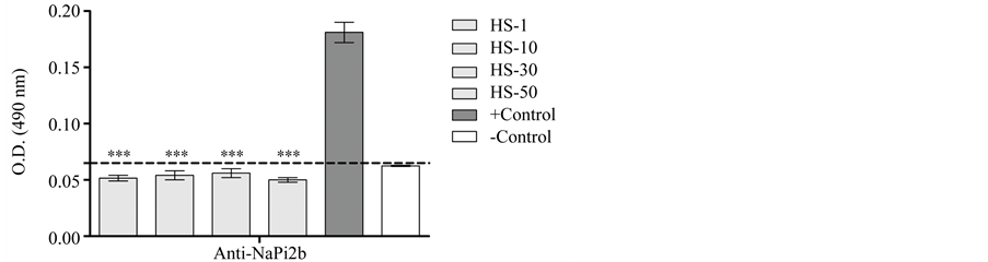 Novel Immunogenic Epitopes in the NaPi-IIb Protein: Production of ...