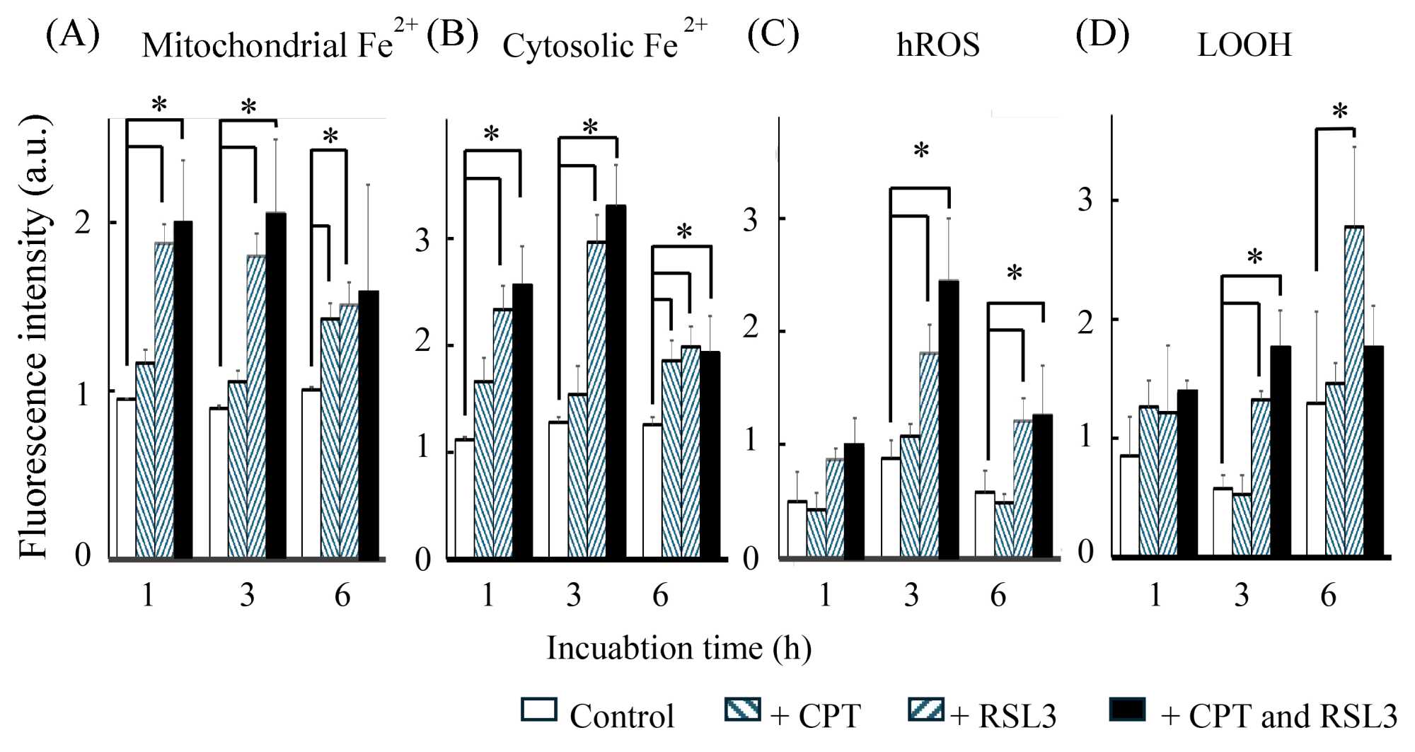Ferroptosis Inducer RSL3 Inhibits Cell Death by Camptothecin-Induced Apoptosis