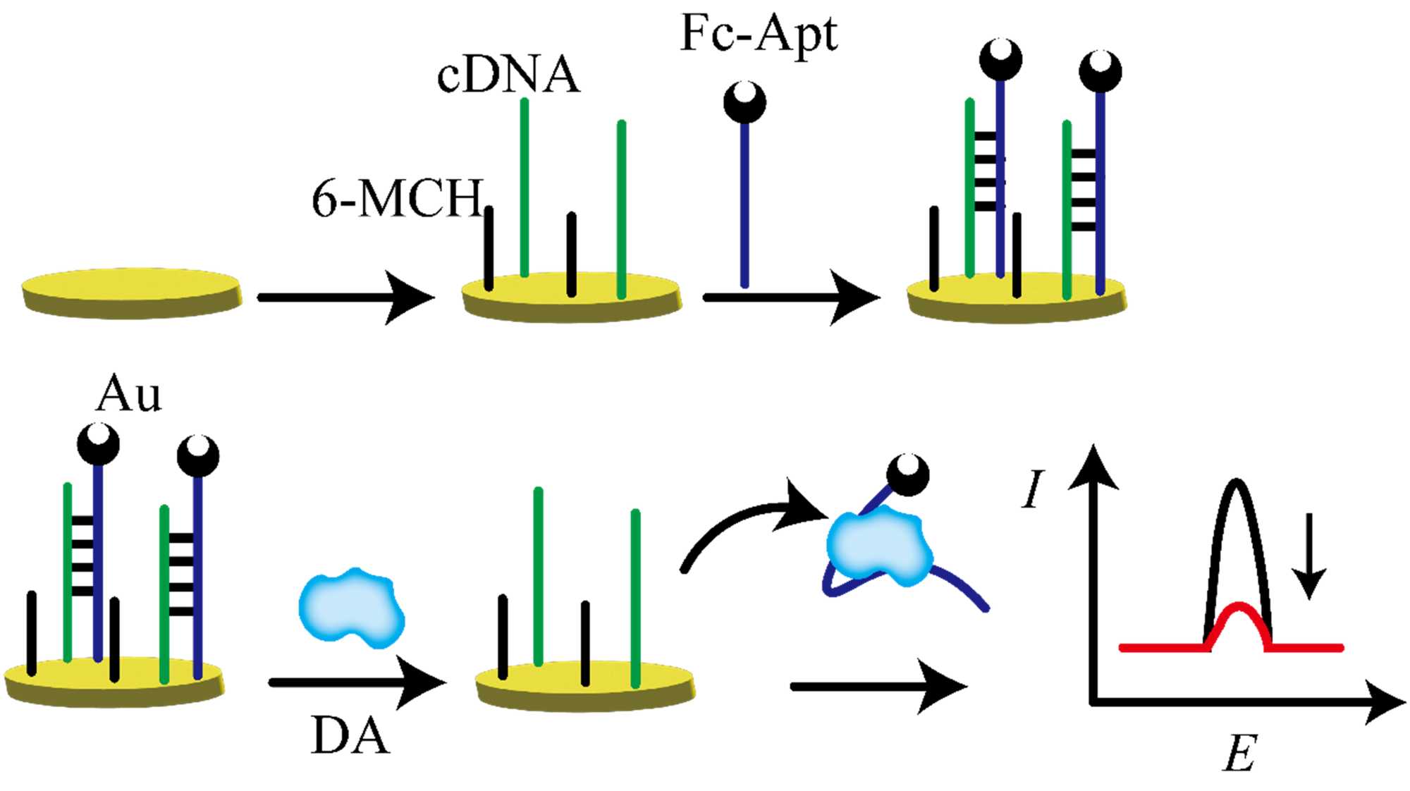 Electrochemical Sensor for Dopamine Detection Based on the CRISPR/Cas12 ...