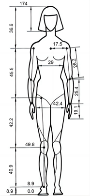Detection of 3D Human Posture Based on Improved Mediapipe