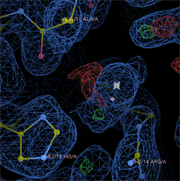 Preliminary Investigation of Copper(II) Ion Binding or Complex ...