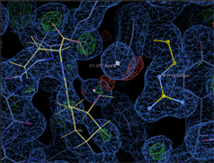 Preliminary Investigation of Copper(II) Ion Binding or Complex ...