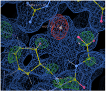 Preliminary Investigation of Copper(II) Ion Binding or Complex ...