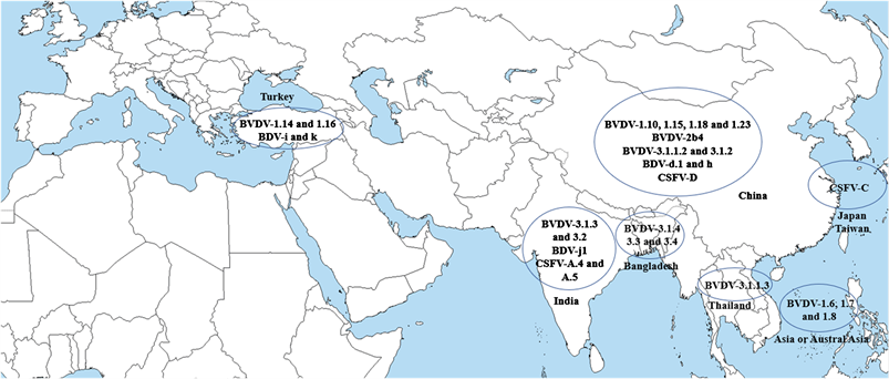 Heterogeneity of Pestivirus Species in Asia