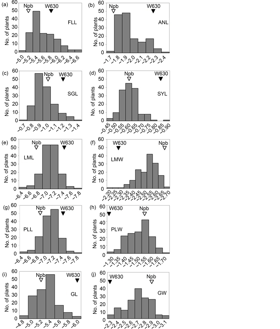 Identification Of Quantitative Trait Loci Controlling Floral Morphology