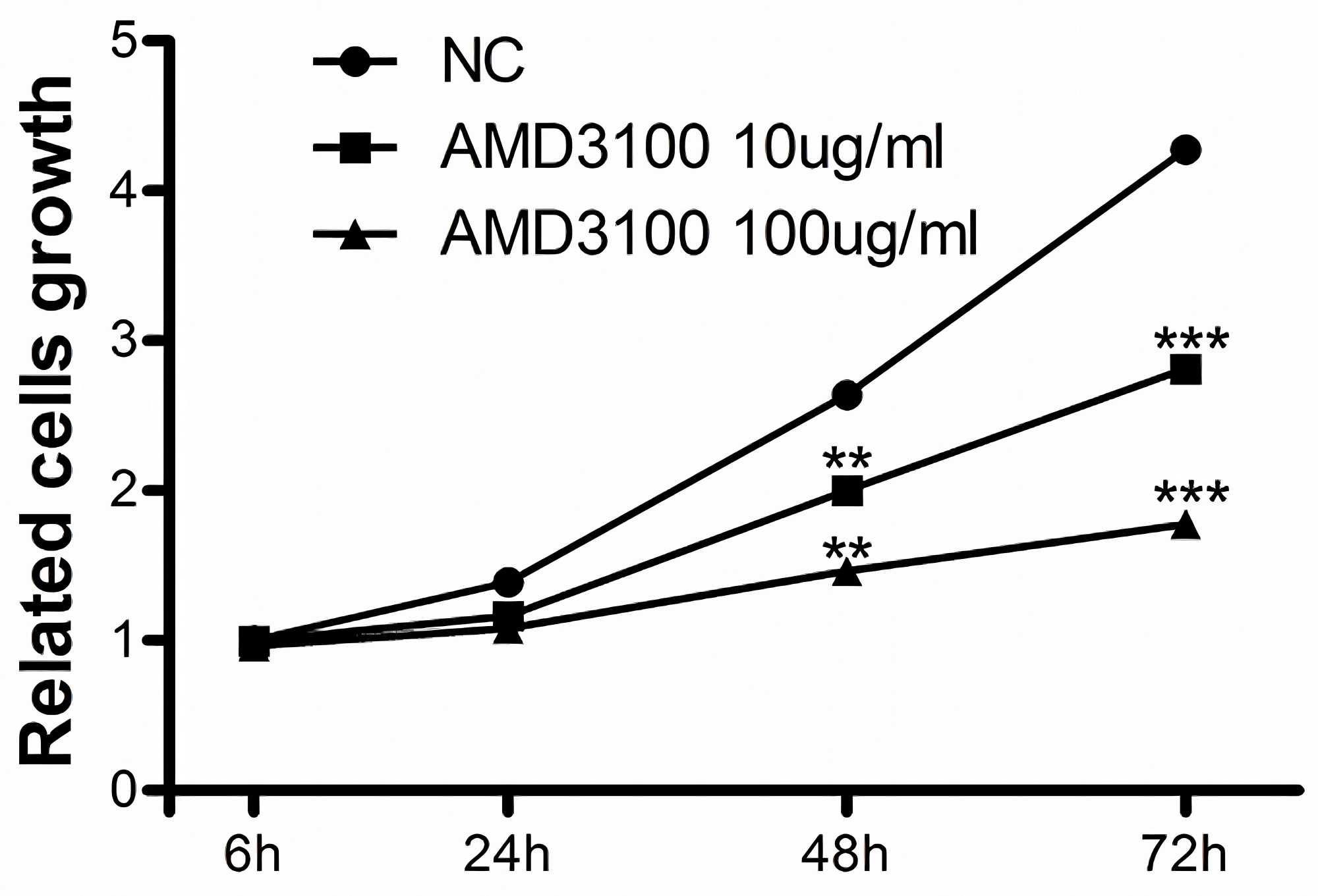 Targeted Blockage of CXCR4 on the Epithelial-Mesenchymal Transition ...