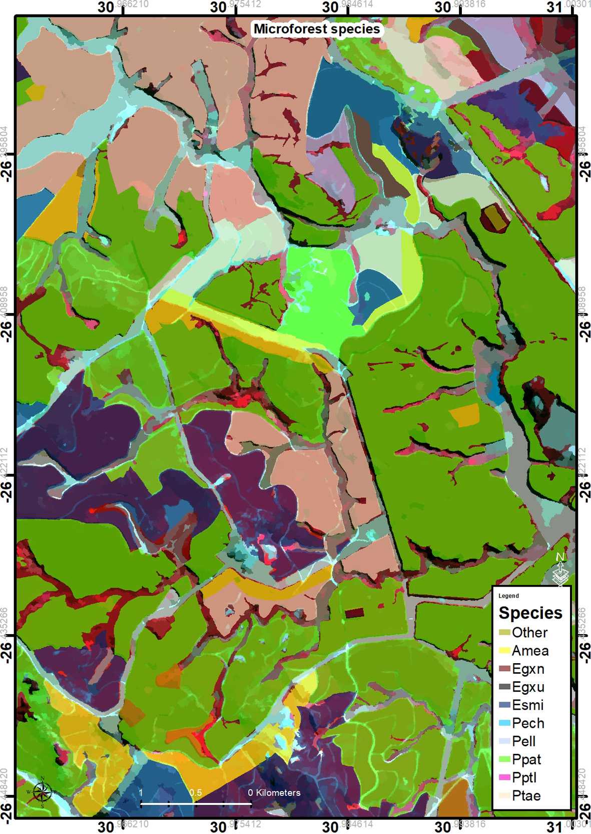 Identification of Commercial Forest Tree Species Using Sentinel 2 and ...