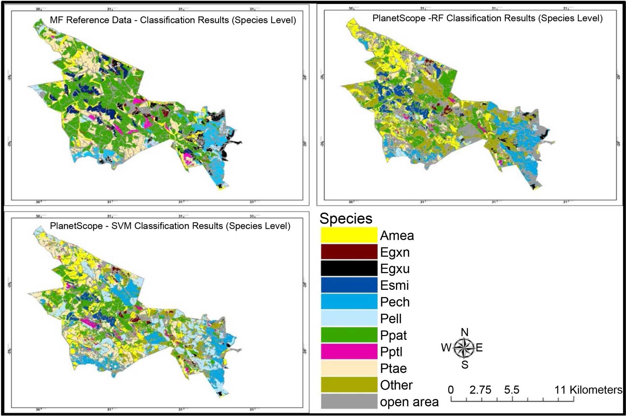 Identification of Commercial Forest Tree Species Using Sentinel 2 and ...