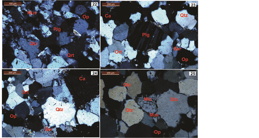 Petrographic Characteristics of Manganese Bearing Rocks of Banswara ...
