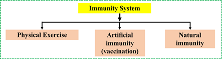 The Perspective of Acquired Immunity to Combat against Infectious ...