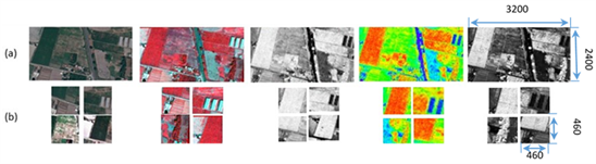 Semantic Segmentation Based Remote Sensing Data Fusion on Crops Detection